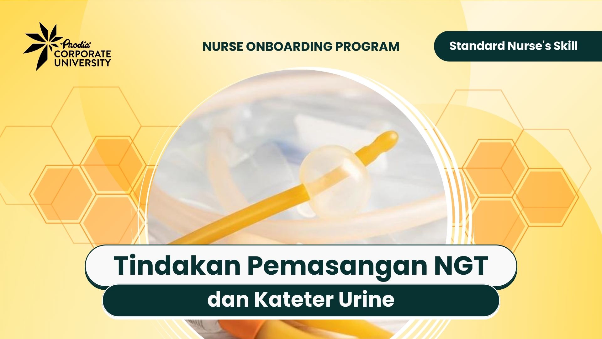 ProU: Course categories | ProU